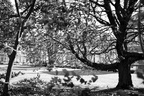 Blackheath - The Paragon – Sam Warr Photography